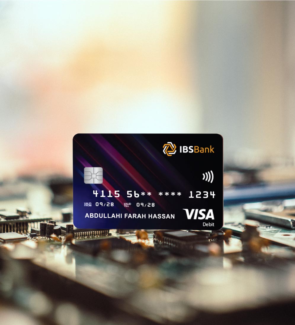 Visa Classic Card – IBS Bank